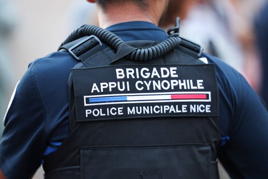 Municipal Police Patrol Cynophile Support Brigade Editorial Stock Photo ...