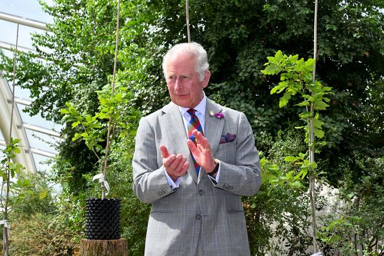 Prince Charles Clapping During Visit National Editorial Stock Photo ...