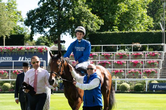 Horse Racing Summer Mile Racing Weekend Editorial Stock Photo - Stock ...