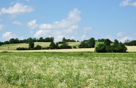 Upper Lusatian Summer Landscape Upper Lusatia Editorial Stock Photo ...