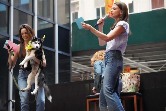 Sutton Foster Introduces Talia Suskauer Wicked Editorial Stock Photo ...