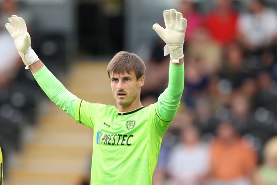 Goal Keeper Ben Garratt Burton Albion Editorial Stock Photo - Stock ...