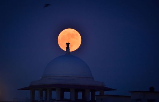 View Supermoon Called Buck Moon Seen Editorial Stock Photo - Stock Image | Shutterstock
