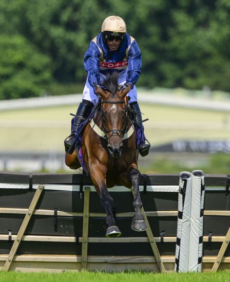 Heronord Ridden By Mr Lewis Gordon Editorial Stock Photo - Stock Image ...