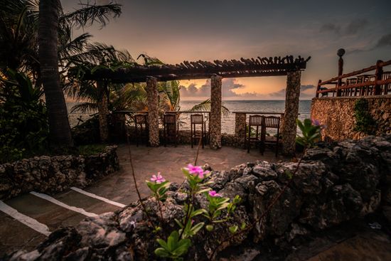 Viewing Platform View Between Palm Trees Editorial Stock Photo - Stock ...