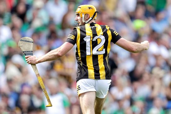 Limerick Vs Kilkenny Kilkennys Billy Ryan Editorial Stock Photo - Stock ...