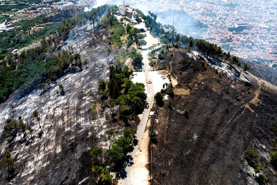 Vegetation Destroyed Trees Burned Around Sanctuary Editorial Stock ...