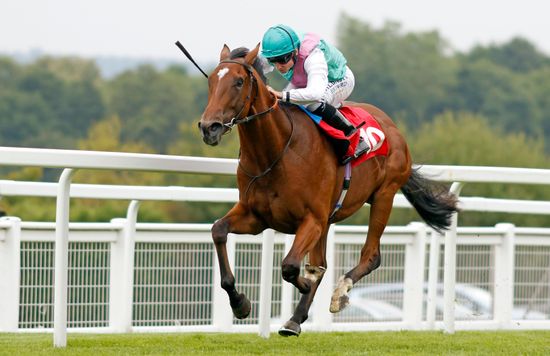 Nostrum Ryan Moore Wins Martin Densham Editorial Stock Photo - Stock ...
