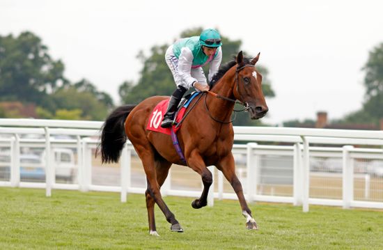 Nostrum Ryan Moore Winner Martin Densham Editorial Stock Photo - Stock ...