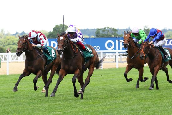 Lezoo Ridden By Frankie Dettori Beating Editorial Stock Photo - Stock ...