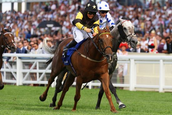 Call Me Ginger Ridden By Amie Editorial Stock Photo - Stock Image ...