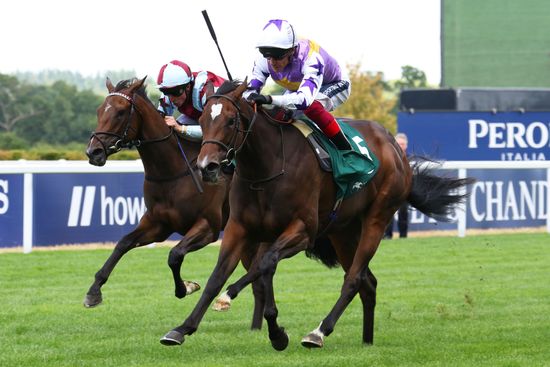 Lezoo Ridden By Frankie Dettori Beating Editorial Stock Photo - Stock ...