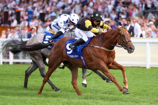 2022 Ascot Usa Call Me Ginger Editorial Stock Photo - Stock Image ...
