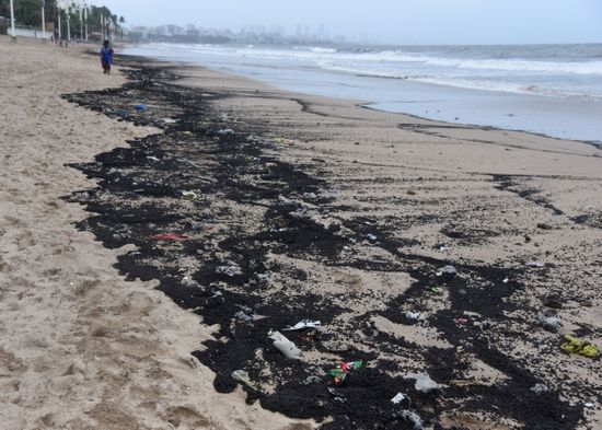Tar Balls Seen On Shore Juhu Editorial Stock Photo - Stock Image ...