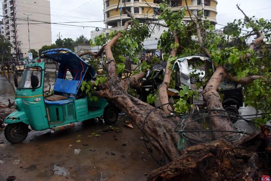 Auto Rickshaws Seen Damaged By Fallen Editorial Stock Photo - Stock ...