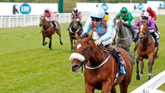 Platinum Queen Oisin Orr Wins British Editorial Stock Photo - Stock ...
