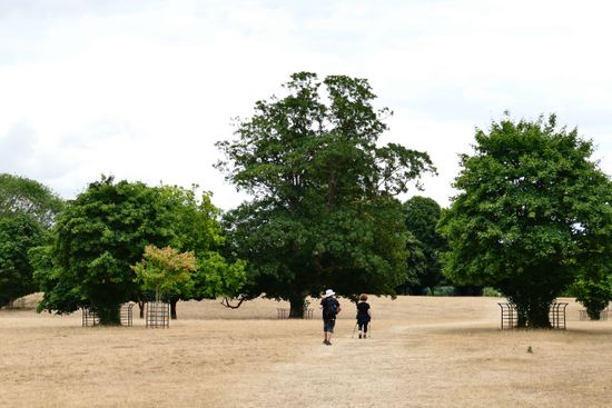 Walkers Grounds Culham Court Deer Park Editorial Stock Photo - Stock ...