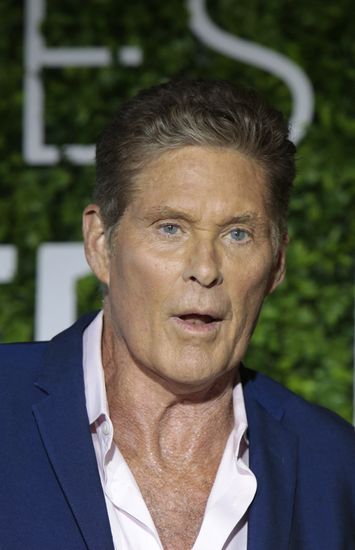 David Hasselhoff Attend Ze Network Photocall Editorial Stock Photo ...