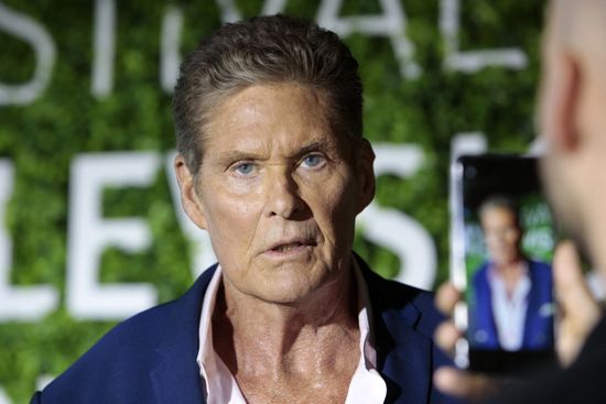 David Hasselhoff Attend Ze Network Photocall Editorial Stock Photo ...