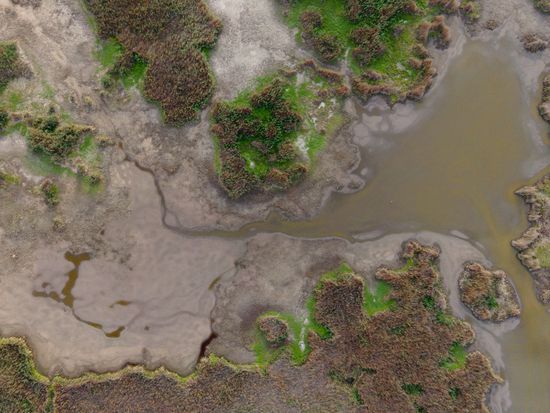 Aerial View Common Reed Islets Alternate Editorial Stock Photo - Stock ...