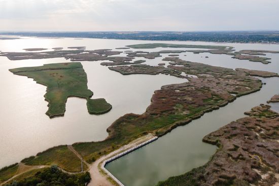 Aerial View Common Reed Islets Alternate Editorial Stock Photo - Stock ...
