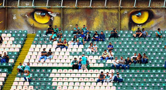 Leon Fans Cheer Prior Liga Mx Editorial Stock Photo - Stock Image ...