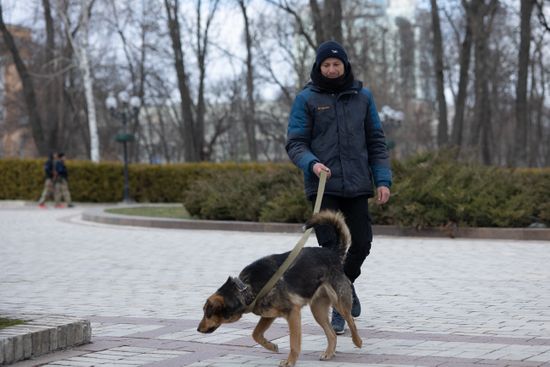 Serhiy 37 Yo His Dog Dilara Editorial Stock Photo - Stock Image ...