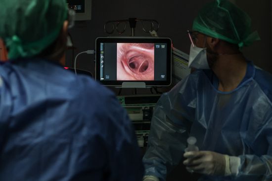 Photo Doctors Perform Fibroscopy Lungs Patient Editorial Stock Photo ...