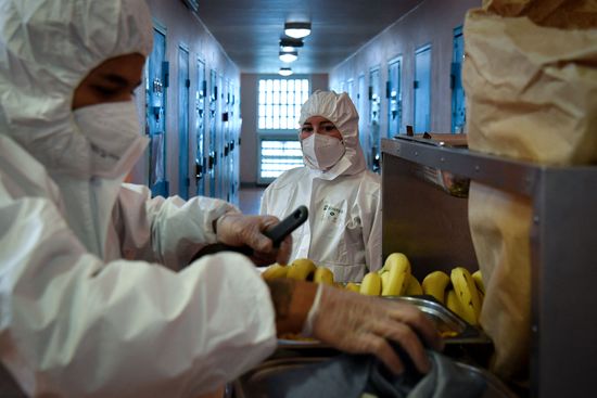 Inmate L Wearing Personal Protective Equipment Editorial Stock Photo ...