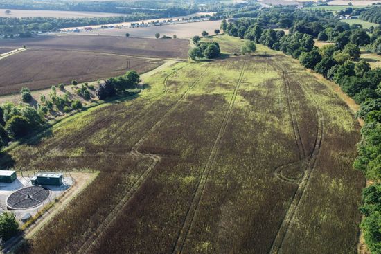 Brown Dying Crops On Farmland Near Editorial Stock Photo - Stock Image ...