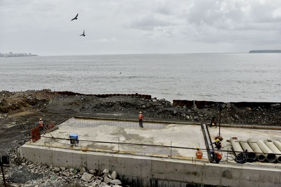 Birds Fly Over Under Construction Site Editorial Stock Photo - Stock ...