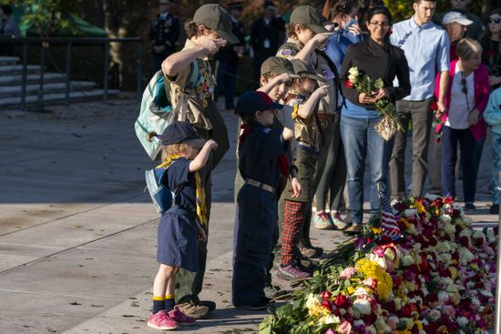Group Cub Scouts Boy Scouts Salute Editorial Stock Photo - Stock Image ...