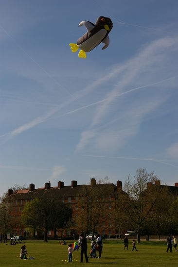 Giant Penguin Kite Streatham Common London Editorial Stock Photo ...