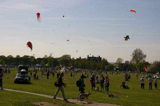 Kites Streatham Common London Britain Editorial Stock Photo - Stock ...