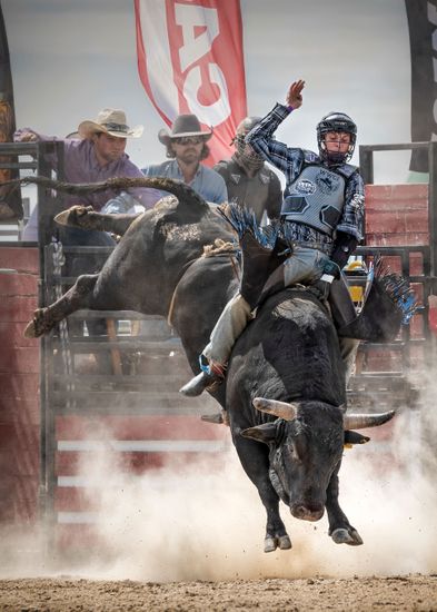 Dramatic Pictures Show Seasoned Traditional Cowboys Editorial Stock ...
