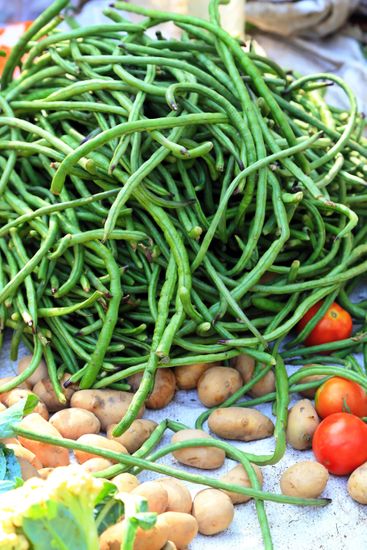 Beans Mani Sithu Market Nyaungu Myanmar Editorial Stock Photo - Stock ...