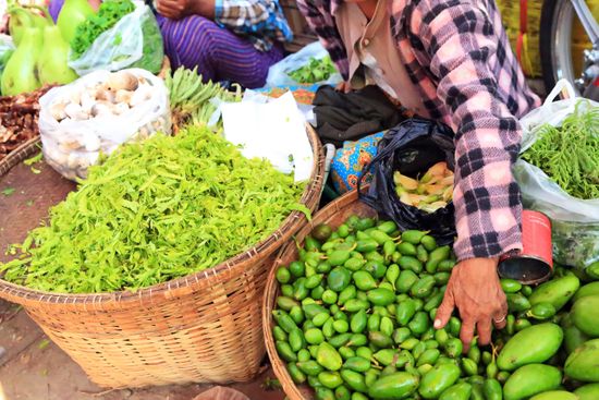 Vegetable Vendors Mani Sithu Market Nyaungu Editorial Stock Photo ...