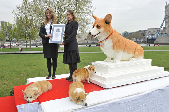 Staff Guinness World Records Present Certificate Editorial Stock Photo ...