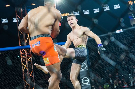 French Mma Fighter Karl Amoussou L Editorial Stock Photo - Stock Image ...