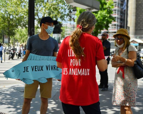 Paris Animaux Zoopolis Paz Supporters Protest Editorial Stock Photo ...
