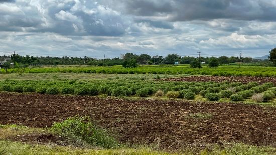 Farmland Nilakkottai Nilakottai Tamil Nadu India Editorial Stock Photo ...