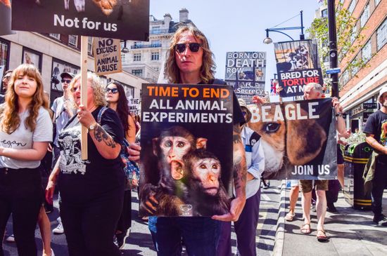 Protester Holds Anti Animal Experiments Placard Editorial Stock Photo ...