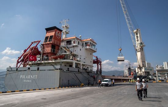 Turkishflagged Cargo Ship Polarnet That Left Editorial Stock Photo ...