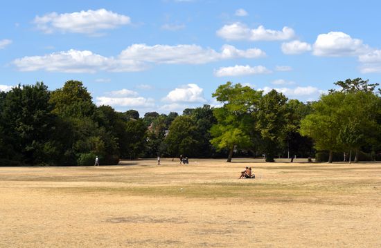 Heatwave Builds Central Park Dartford Baked Editorial Stock Photo ...