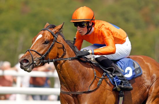 Glorious Angel Ross Coakley Wins Join Editorial Stock Photo - Stock ...