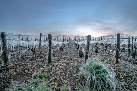 Spraying Stubble Fields Night Going Be Editorial Stock Photo - Stock ...