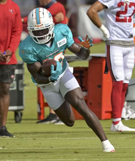 Miami Dolphins Nick Needham Carriers Ball Editorial Stock Photo - Stock ...