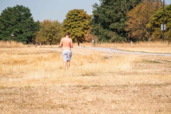 Man Walking Shirt Through Parched Wimbledon Editorial Stock Photo ...