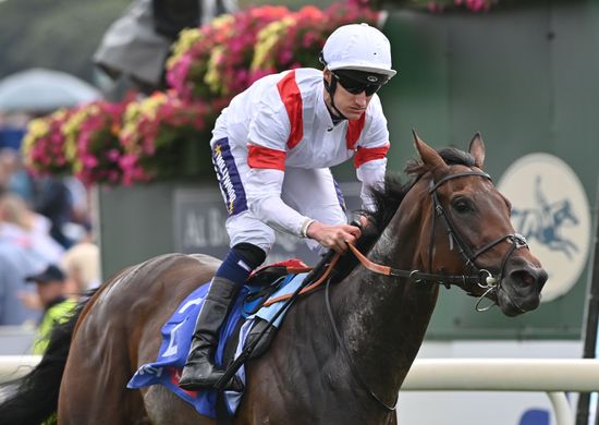 Deauville Legend Daniel Muscatt Wins Sky Editorial Stock Photo - Stock ...