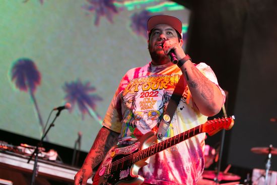 Sublime Rome Performing Pine Knob Music Editorial Stock Photo - Stock ...